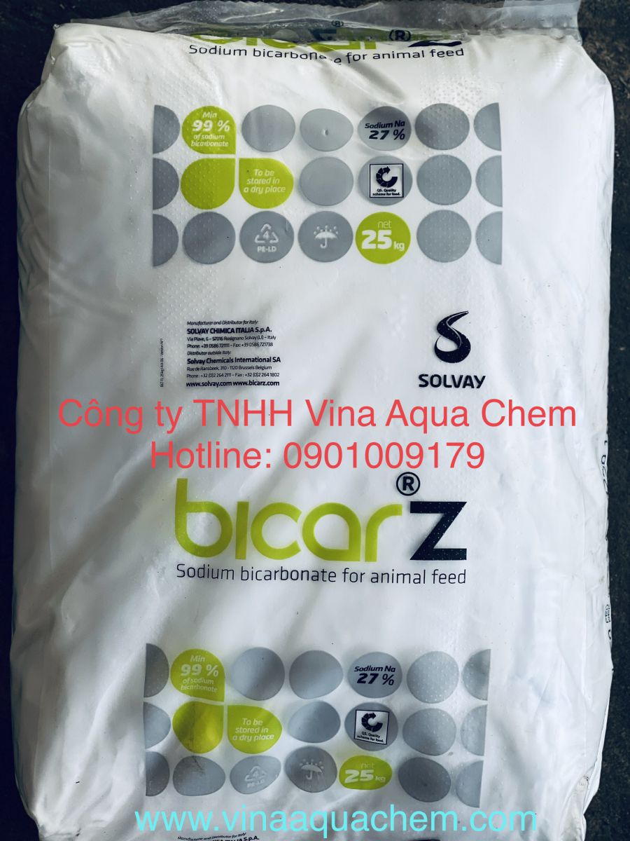 SODIUM BICARBONATE (BICAR Z)